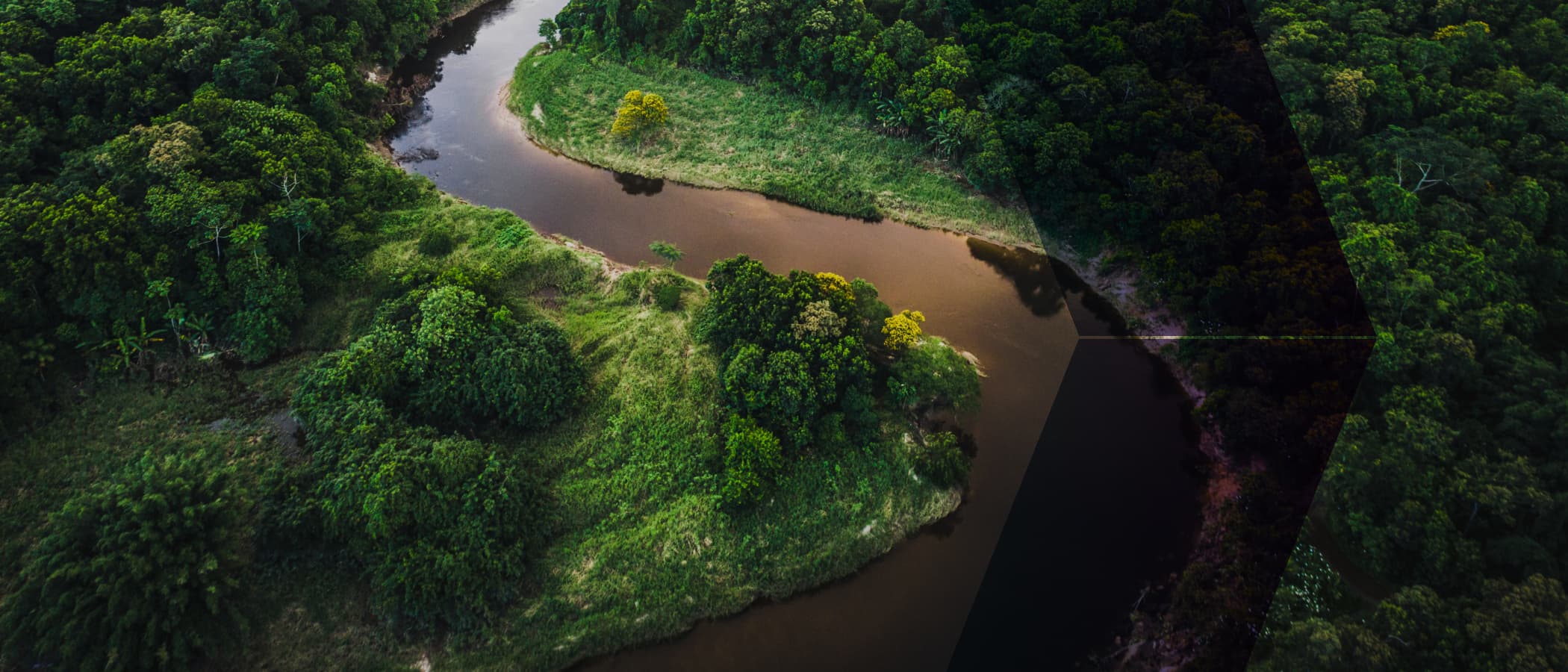 Spotlight Series: Eric Shih at Cedara | TheXchange